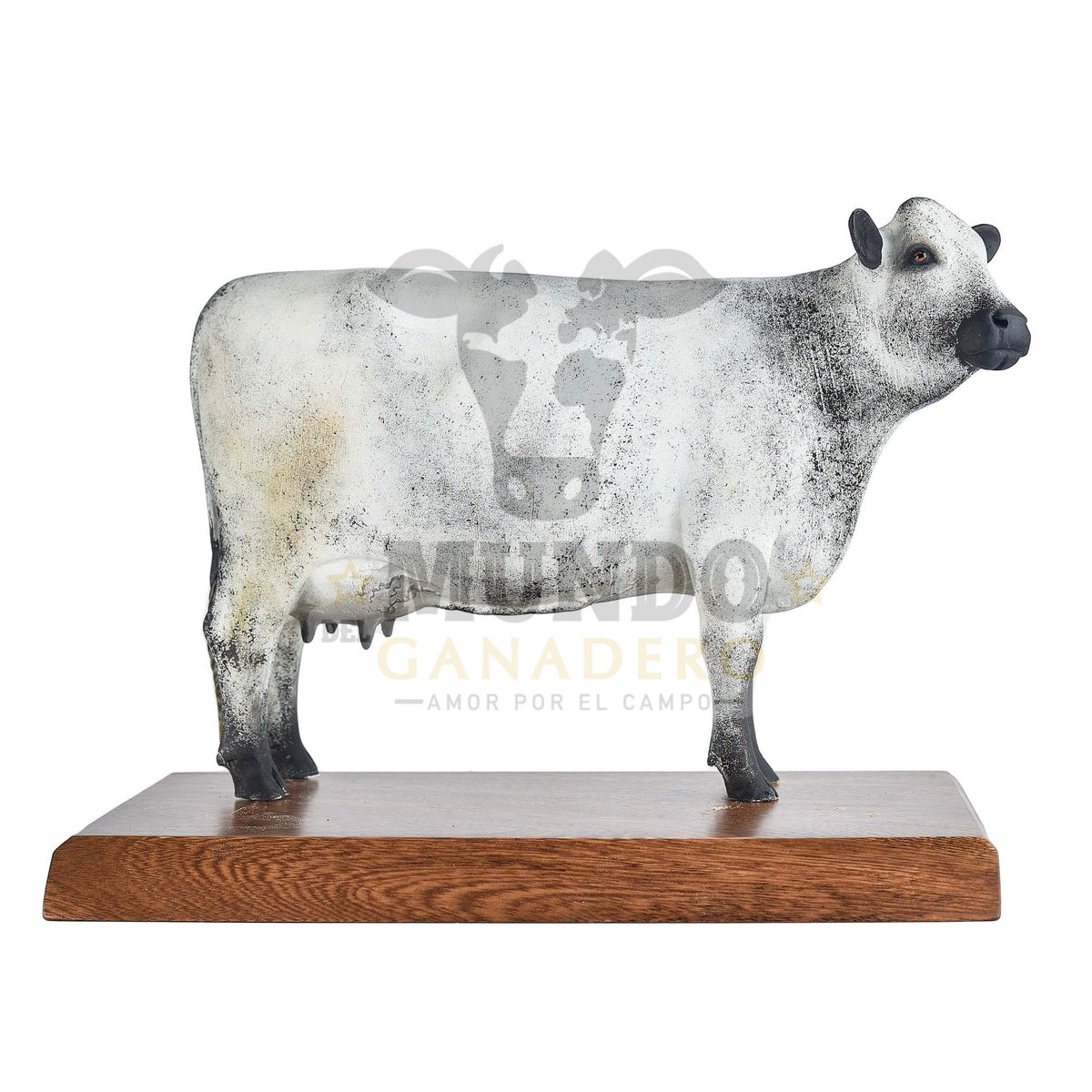 Vaca Bon ( Blanco Oreji Negro ) – Mundo del Ganadero - M D G